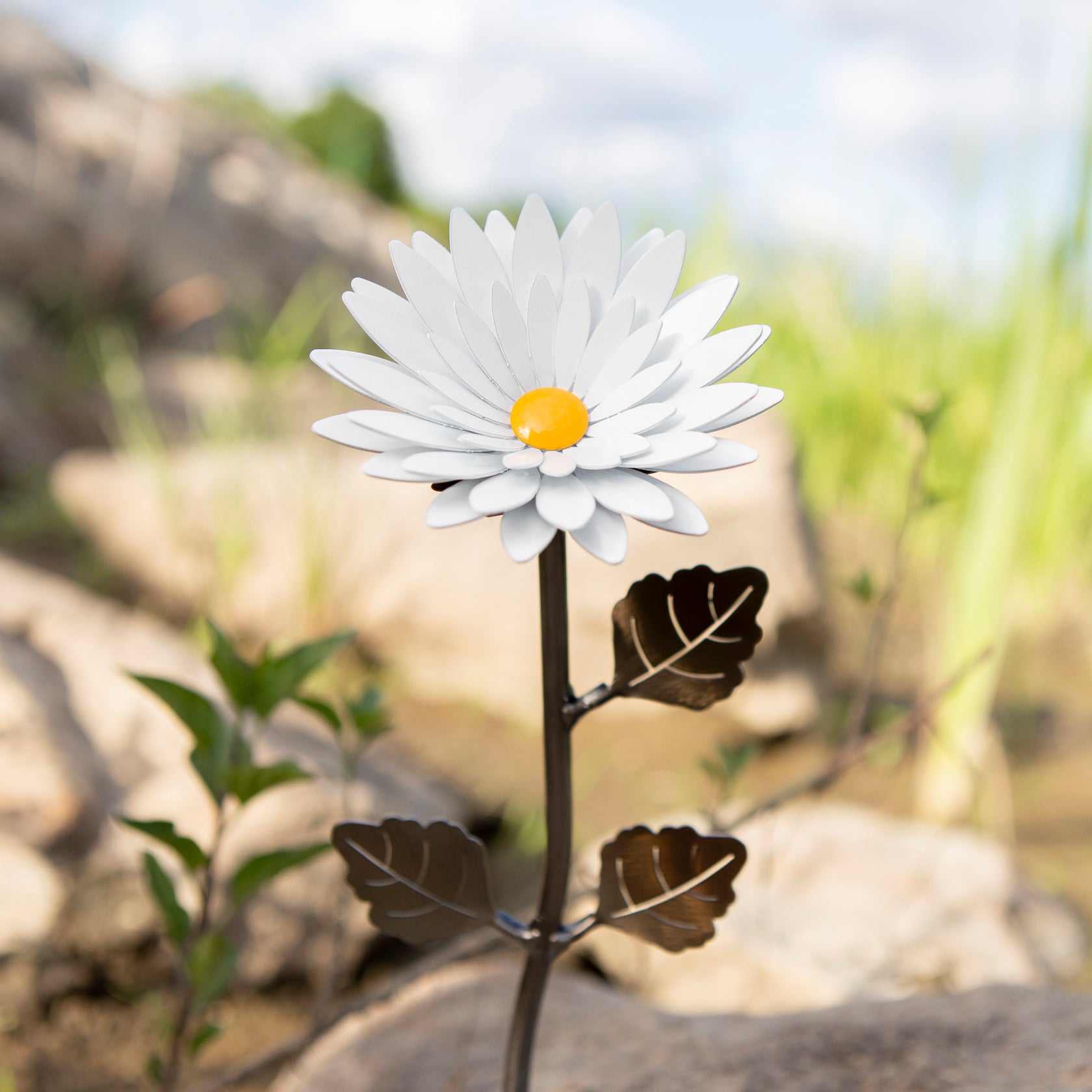 Personalized Gift Hand-Forged Wrought Iron Metal Daisy – Alain's ...
