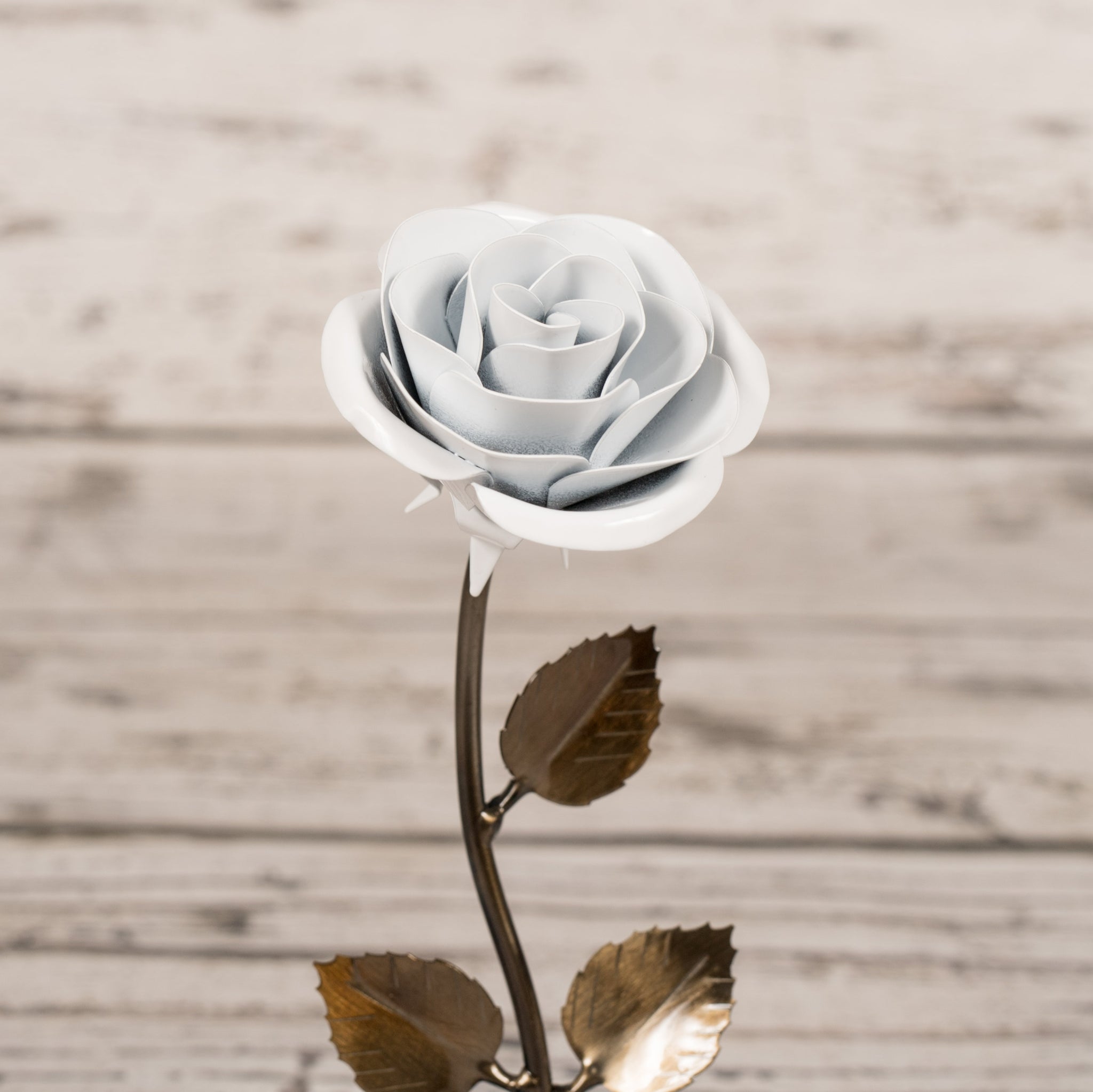 Personalized Gift Hand-Forged Wrought Iron White Metal Rose – Alain's ...